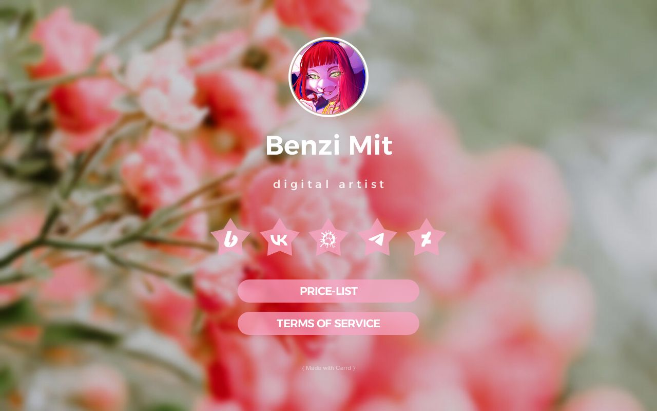 Information about the artist Benzi Mit